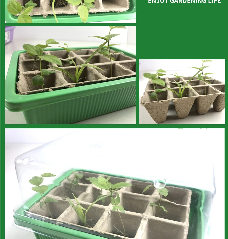 Eco- Friendly Disposable Small Plastic Garden Green House Pulp Paper ...