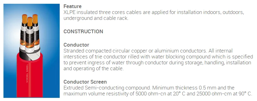 XLPE Insulated Electric Power Cable - THREE CORES TYPE N2XSEYBY
