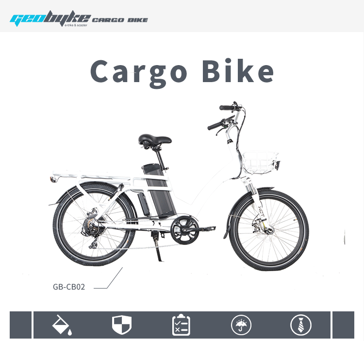Electric Delivery Bike - Buy Electric Delivery Bike,48v Electric ...