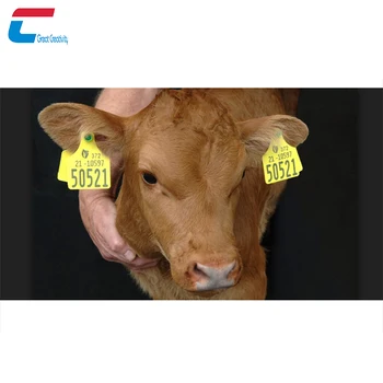 Long Range Smart Rfid Cattle Ear Tag For Cow - Buy Smart Ear Tag For ...