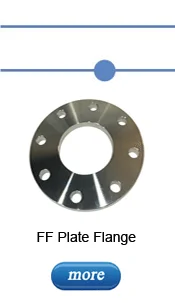 ASME Carbon Steel Pad Type Flange - Durable & Versatile