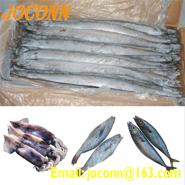 Frozen Fish, Shrimp, and Meat Ice Coating Machine by JOCONN