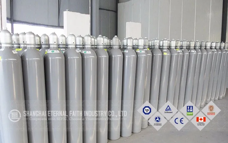 Sefic 2l-80l Seamless Steel Sf6 Gas Cylinder Sf6 Cylinder Oxigen ...