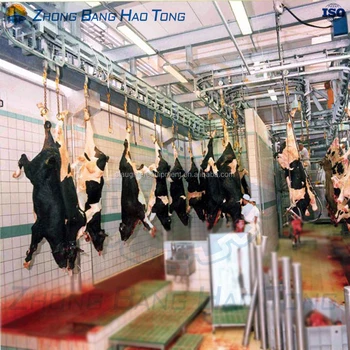 Cattle Slaughtering Bleeding Conveyor Line - Buy Cattle Bleeding ...