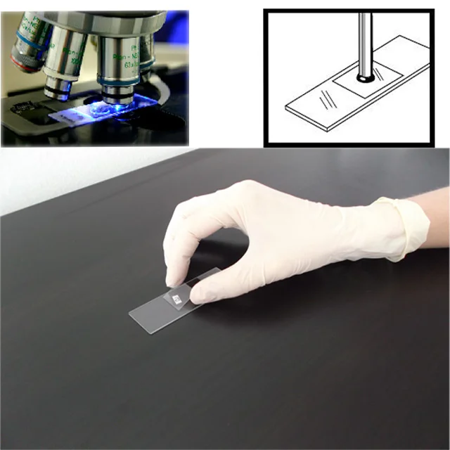 Types Of Laboratory Rock Microscope Glass Slides - Buy Types Of ...