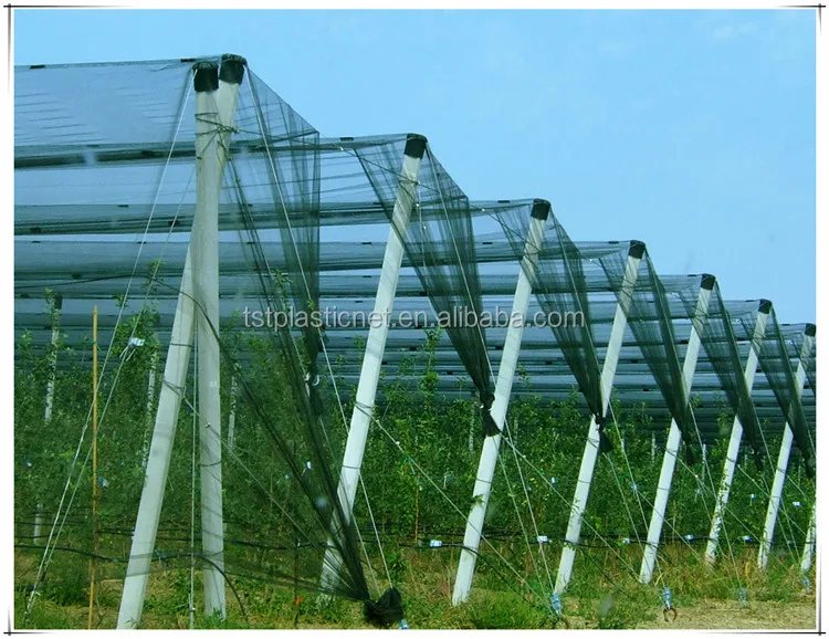 Custom Vineyard Anti Hail Nets,Agriculture Hail Net,Protect Nets For ...