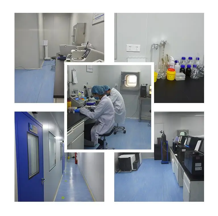 Roche Lightcycler 480 Real Time Pcr Machine - Buy Roche Lightcycler 480 ...