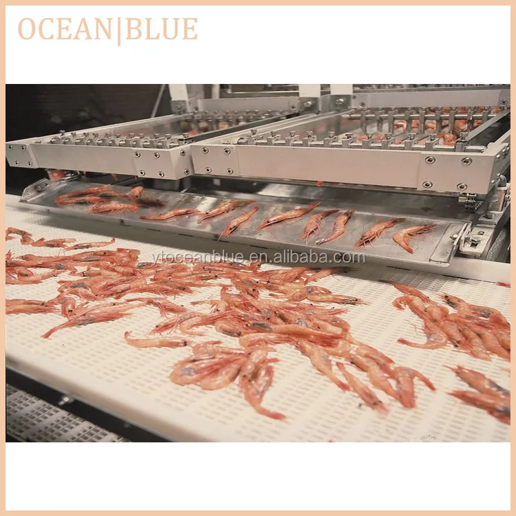 Shrimp Grading Machine Shrimp Sorting Machine Shrimp Grader Sorter ...