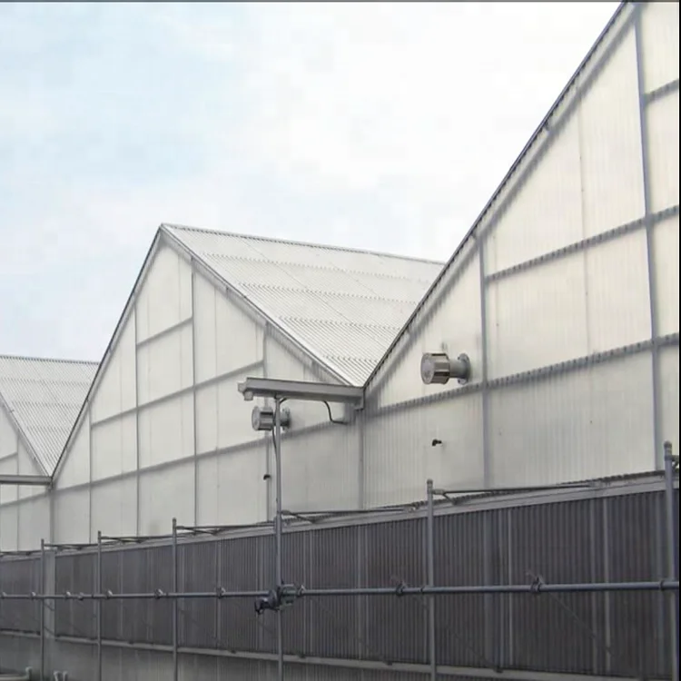 Durable Agricultural Greenhouses - Fully Automated Polycarbonate Sheet ...