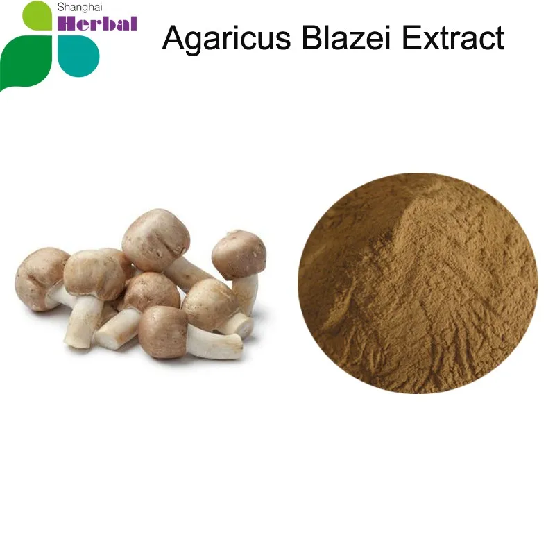 Health Supplement Agaricus Blazei Murill Mushroom,Agaricus Blazei ...