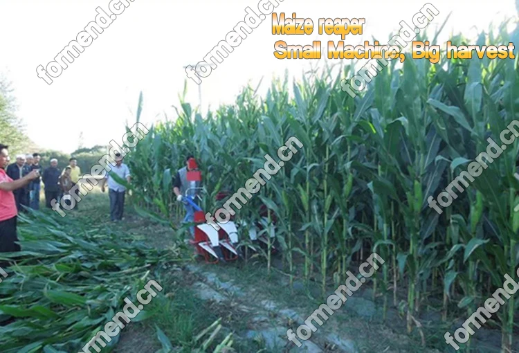 3 Rows Corn Reaper/maize Reaper/self -walking Harvesting And Bundling ...