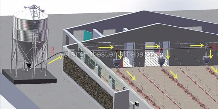 Broiler Chicken Poultry Closed System - Automatic & Efficient