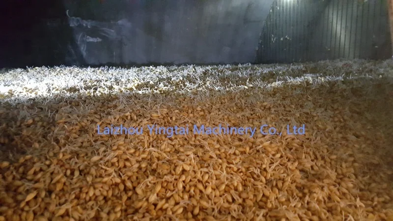 Tank Craft Malting System(500kg/1000kg) For Maltsters,Brewers ...