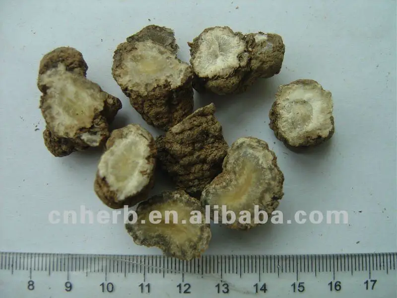 Dried Ligusticum Wallichii Rhizoma Chuanxiong Szechwan Lovage - Buy ...