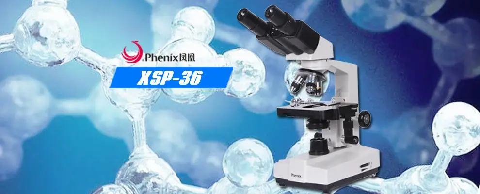 Jiangxi Phenix Optical Technology Co., Ltd. - microscope,bilological ...