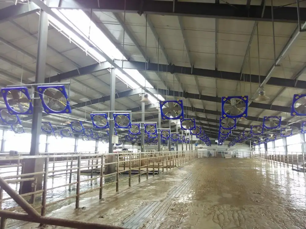 Plastic Framed Circulation Fans For Cow Barn Poultry Farm Fan - Buy ...