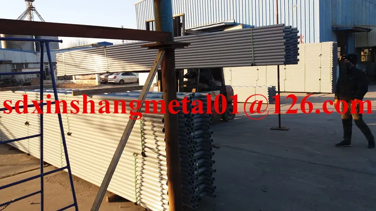 6m Galvanized Scaffold Ladder Beam - Durable & Versatile