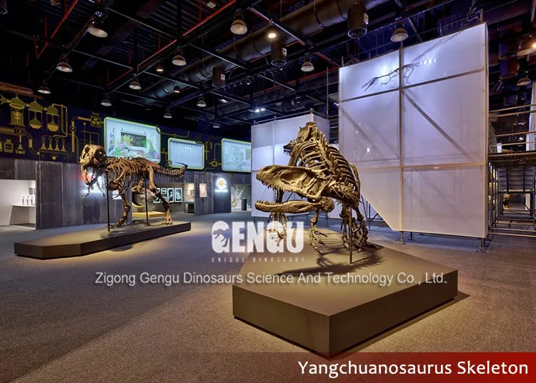 Replica Artificial Dinosaur Fossils Large Dinosaur Bones| Alibaba.com