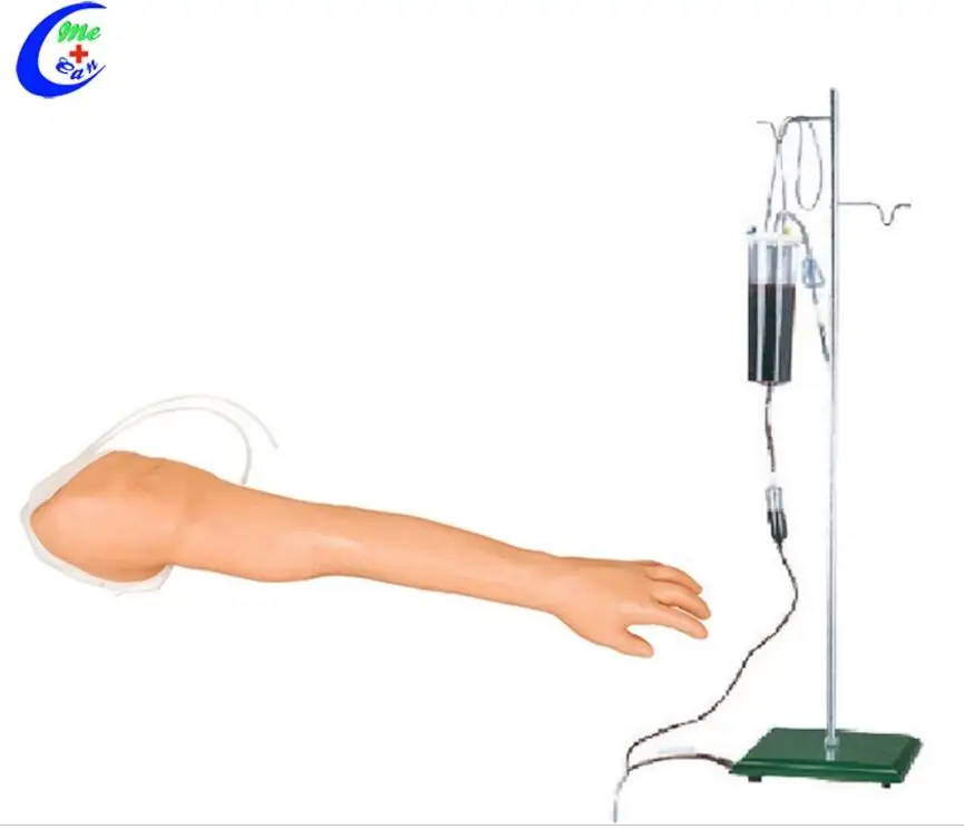 Human Patient Simulator Venipuncture and Injection Training Manikin