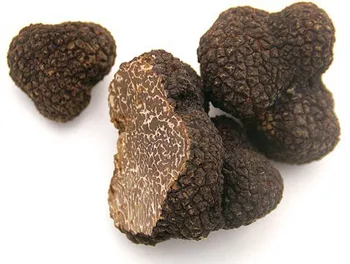 Dried Black Truffle Price,Mushroom Truffle,Chinese Truffle - Buy Black ...