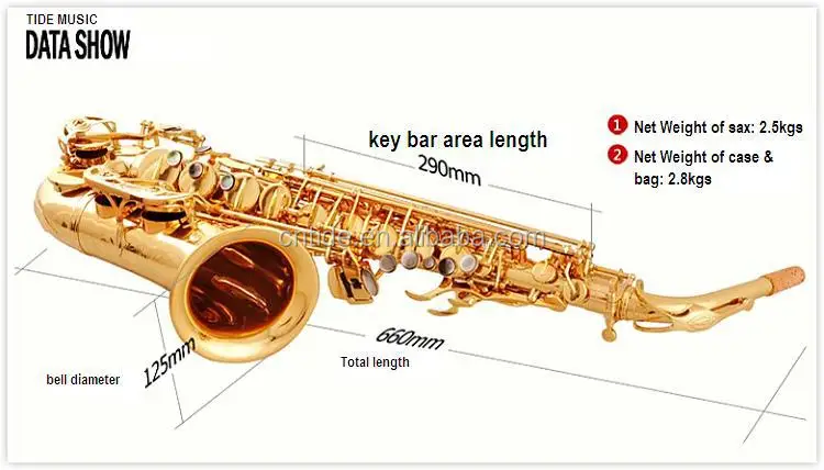 Champion Saxophone - Premium Alto Saxophone by Tide Music