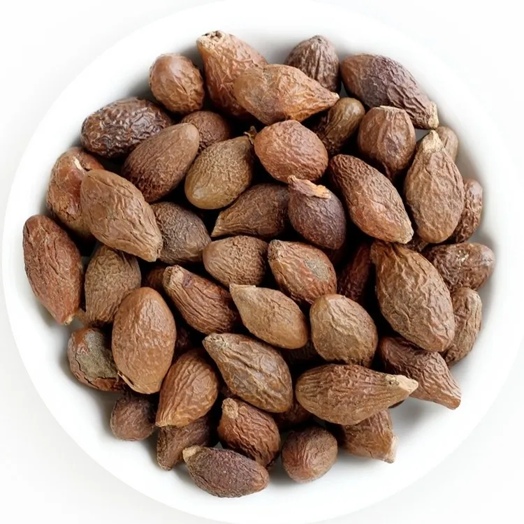 2026 Pang Da Hai Manufacture Direct Supply Scaphium Scaphigerum - Buy ...