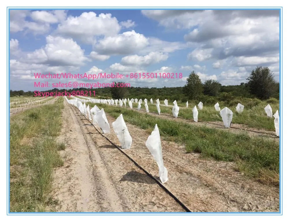 Anti Insect Netting /nursery Fruit Tree Net/citrus Tree Net Cover - Buy ...