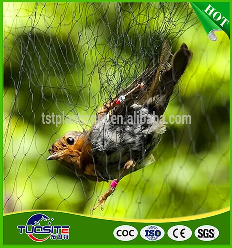 Black Garden Anti Bird Netting/bird Mist Net/catching Bird Net - Buy ...