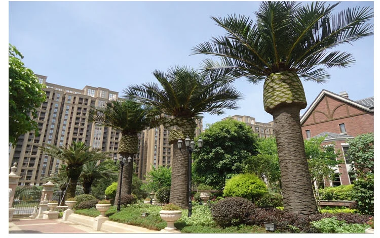 Artificial Tissue Culture Saudi Arabia Style Date Palm Trees Sale For ...