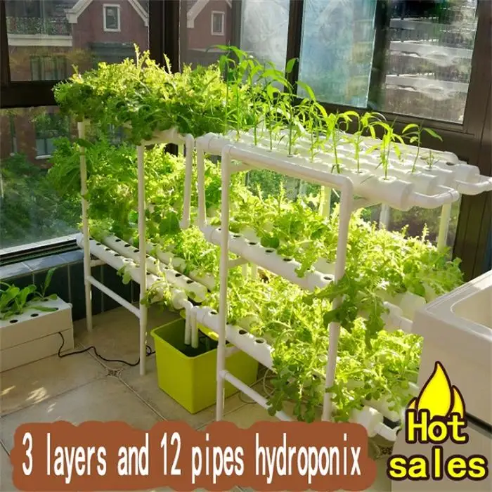 NFT Hydroponic Growing System - Efficient Vegetable Cultivation