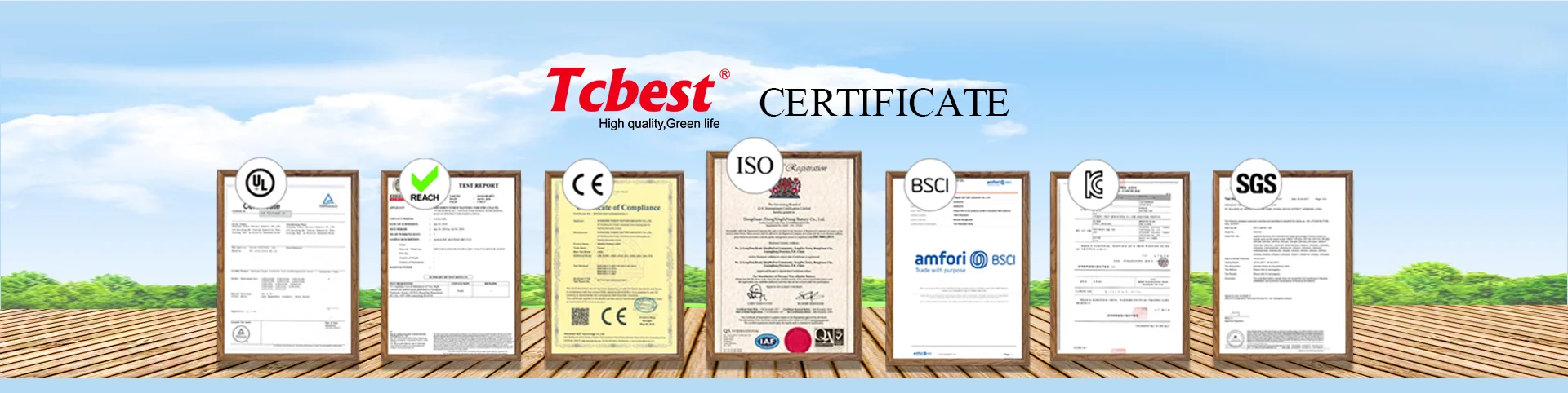 Shenzhen Tcbest Battery Industry Co., Ltd. - alkaline battery, carbon ...