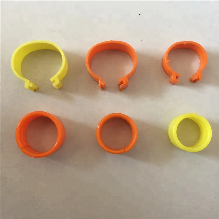 Custom Poultry and Pigeon Indentification Leg Band Bird Tracking Racing ...