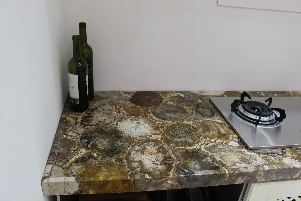 Petrified Wood Tree Slab - Unique, Translucent, Polished