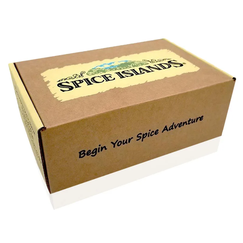 Custom Self Sealing Corrugated Caton Shipping Box for Suits