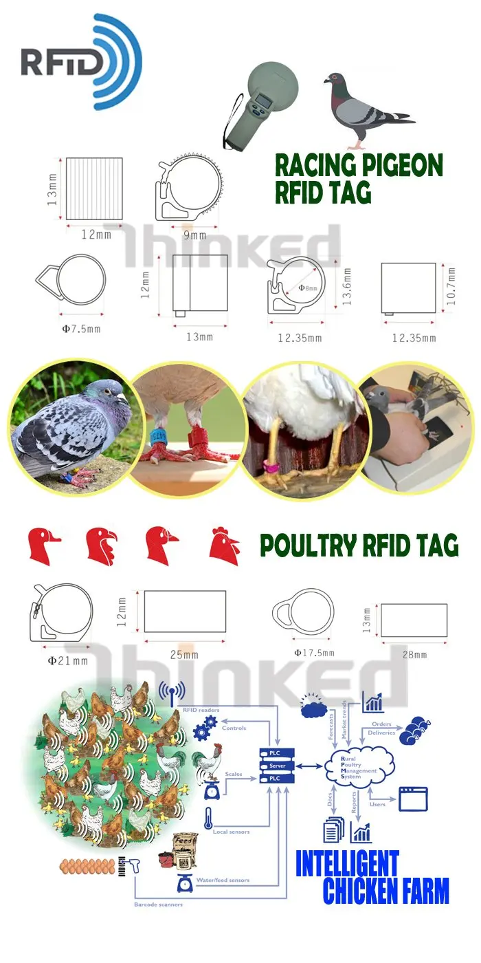 Rfid Chip Electronic Tracking Bird Chicken Poultry Leg Plastic Foot Smart Tag Ring Band For ...
