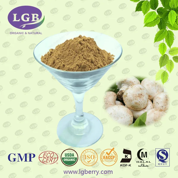 Wild White Button Mushroom Extract Powder 30% Polysaccharide - Buy ...