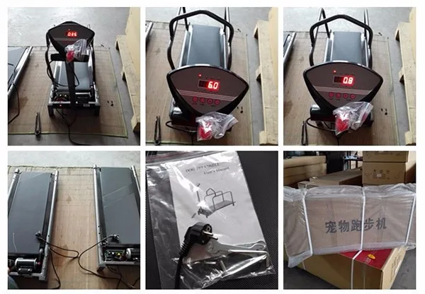 Supply Vet Sheep Treadmill - Buy Sheep Treadmill,Vet Sheep Treadmill ...