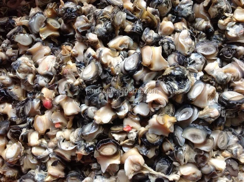 Snail Shell Removing Machine /snail Sheller Machine/escargot Meat And ...