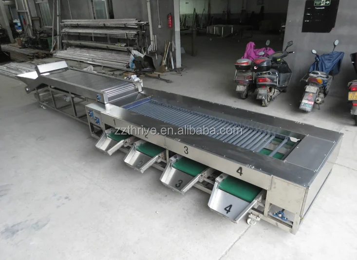 Strawberry Sorting/grading Machine,Plums Grading/grader Equipment - Buy ...