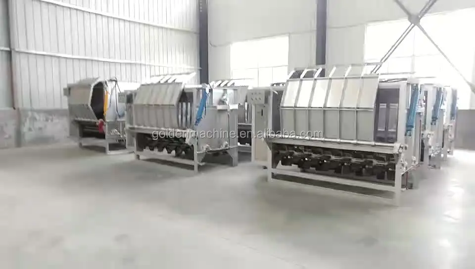 Hog Slaughterhouse Line - Efficient Dehairing Solutions