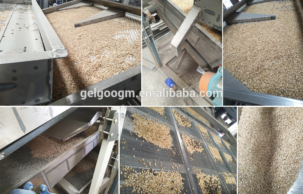 Sunflower Seeds Shell Remove Separating Melon Hemp Sheller Dehulling ...