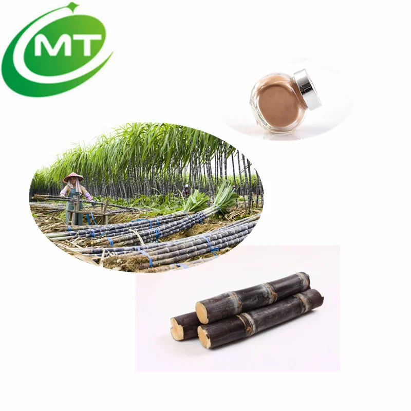 Free Sample 10:1 Sugar Cane Extract Powder Saccharum Officinarum - Buy ...