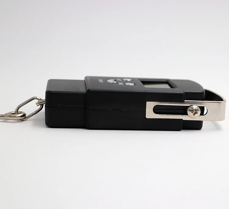 Best Quality Small Fish Scale - 50kg/10g for Fishing