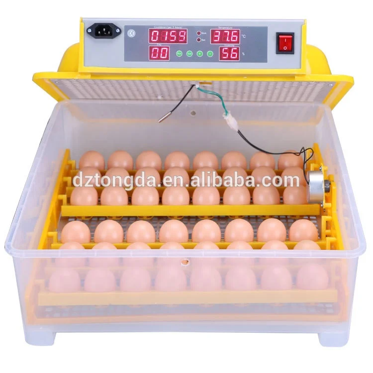 48 Egg Solar Battery Chicken Incubator - High Productivity