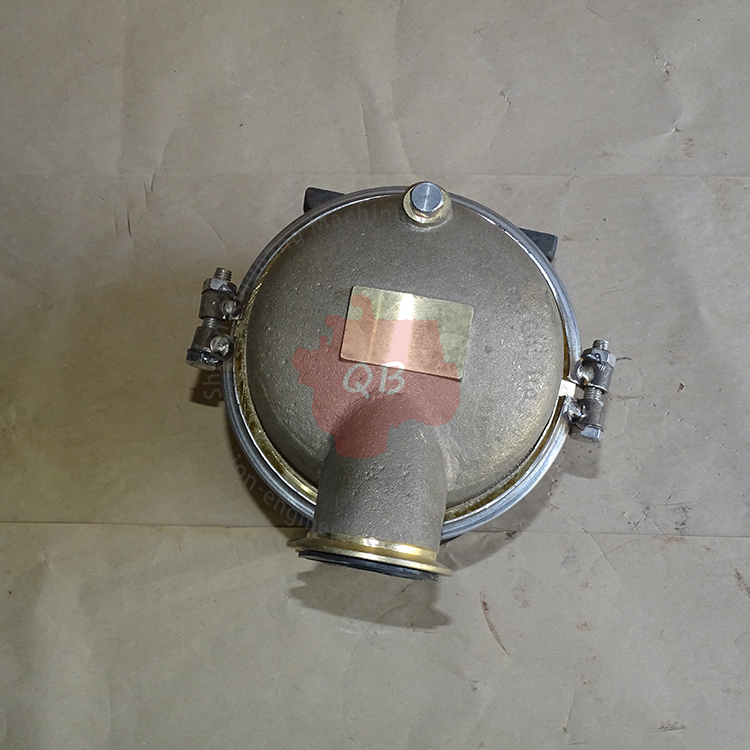 Cummins NTA855 Marine Engine Sea Water Pump 3655857