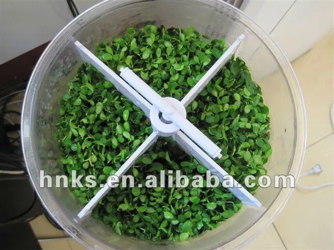 Small Bean Sprouting Machine - Buy Bean Sprout Making Machine automatic ...