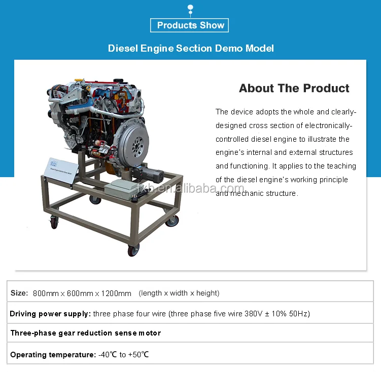 Diesel Engine Section Cutaway Demo Model Automotive Training Model ...
