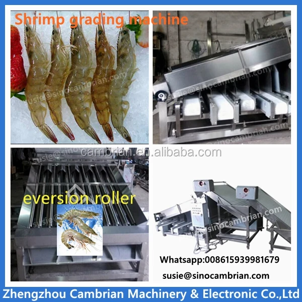 5 Levels Sorting Mussel Sorter Mussel Sorting Machine with Rotation ...