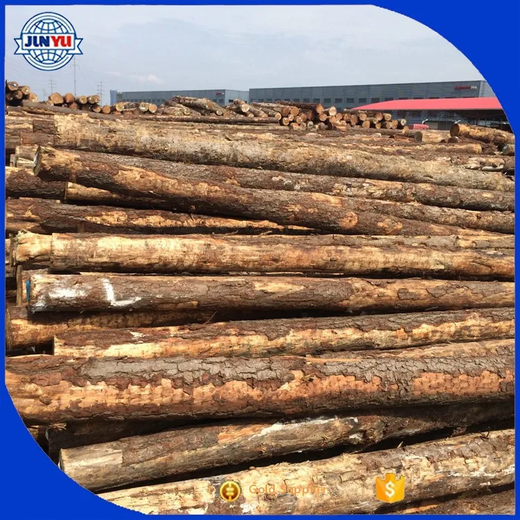 Characteristics Of Radiata Pine Monterey Pine Growth Rate Radita Pine ...