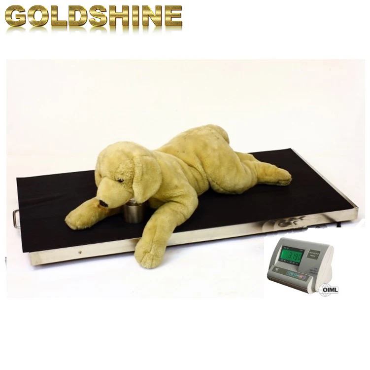 Diy Cattle Chute Dog Sow Livestock Scale Stainless Steel Weighing ...